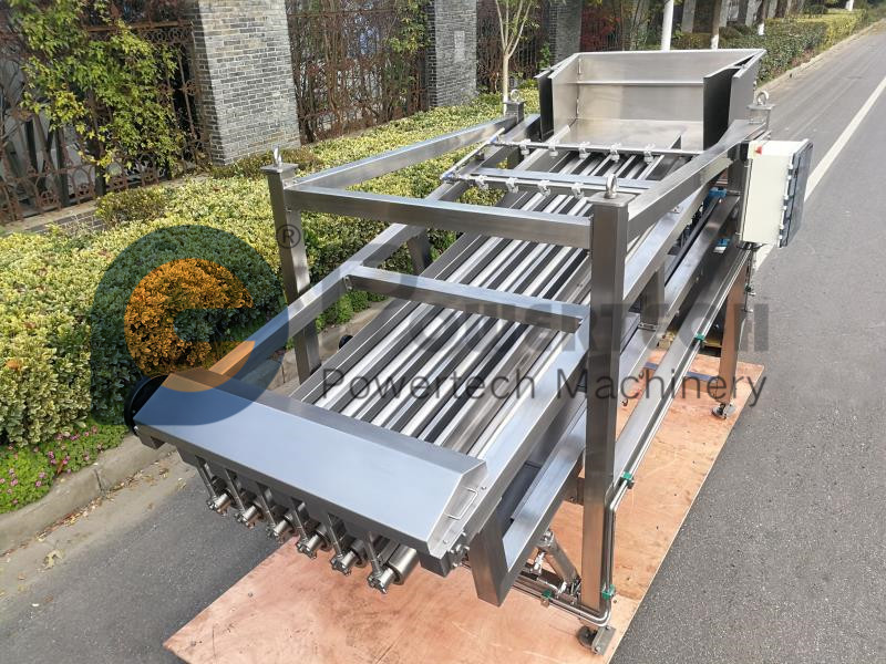 High Efficient Automatic Fish Grading Machine from China manufacturer ...