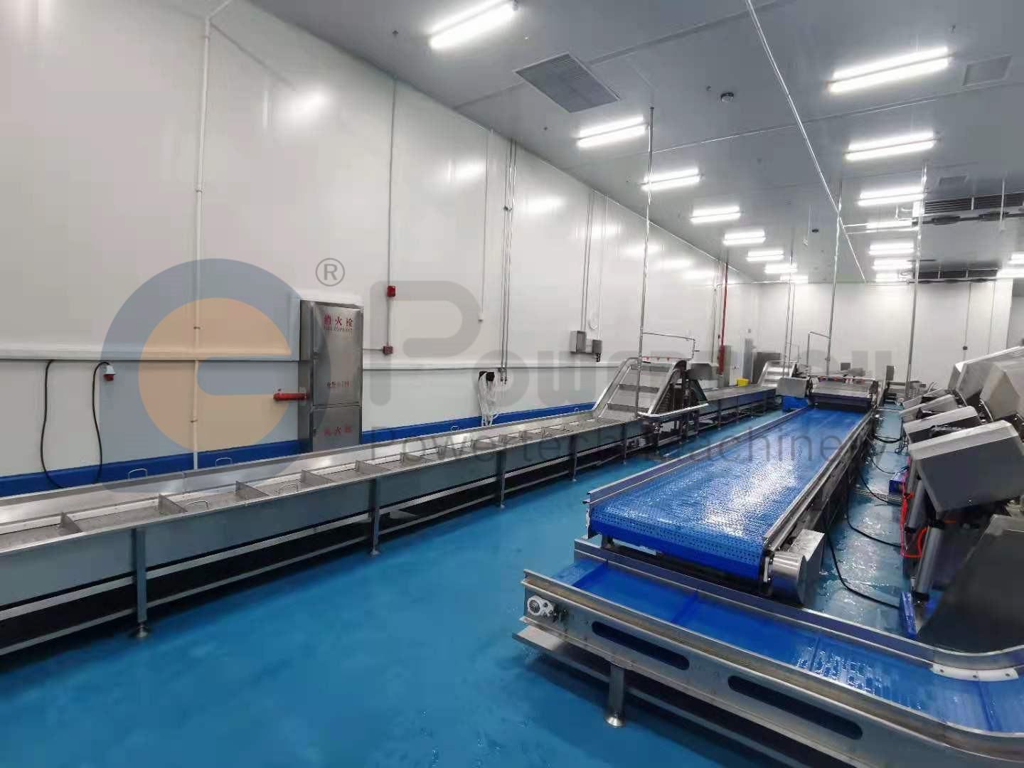 Easy Operation Automatic Catfish Processing Line from China manufacturer - POWERTECH