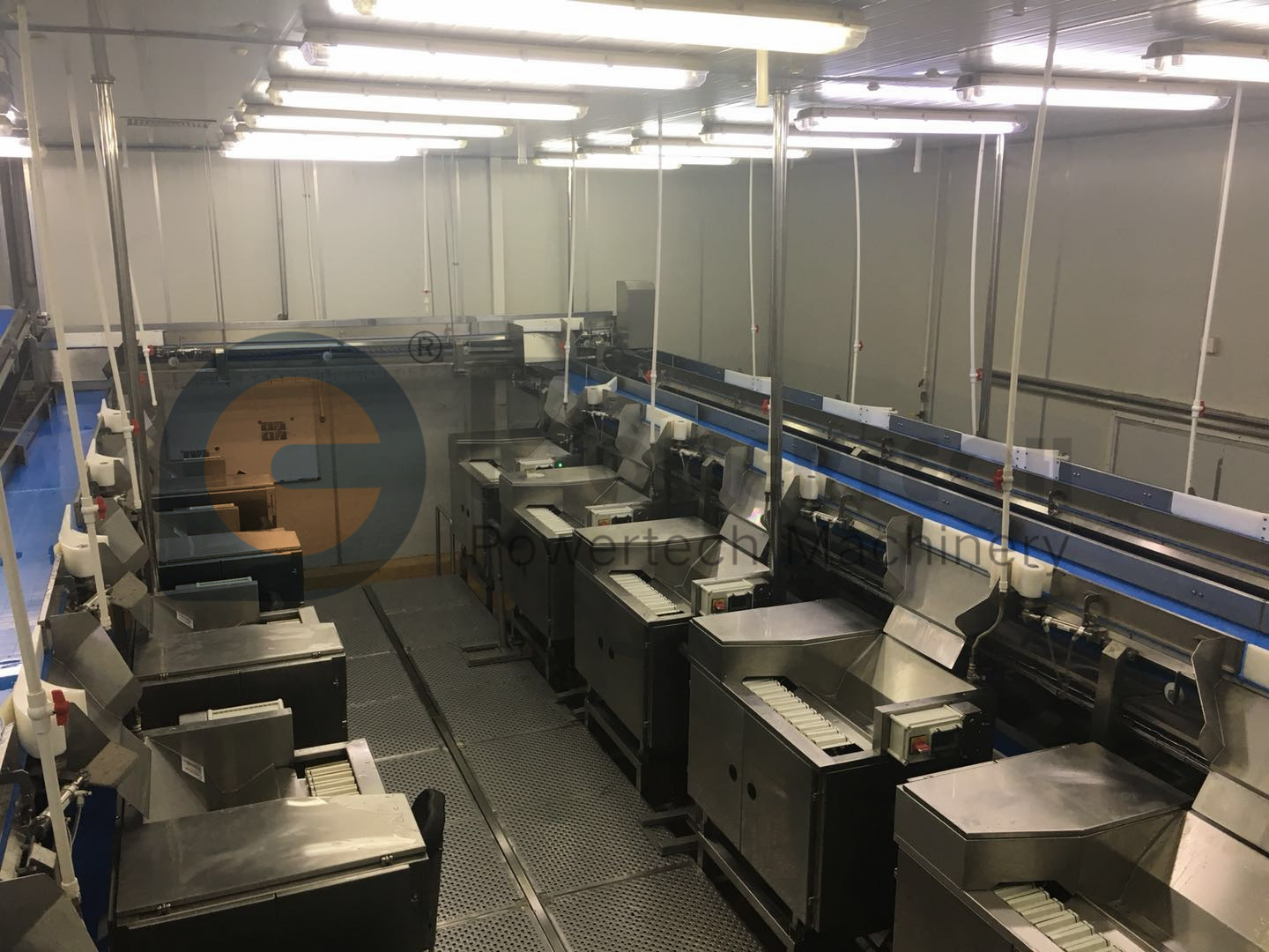 Automatic And High Quality Shrimp Peeling And Deveining Machine from ...