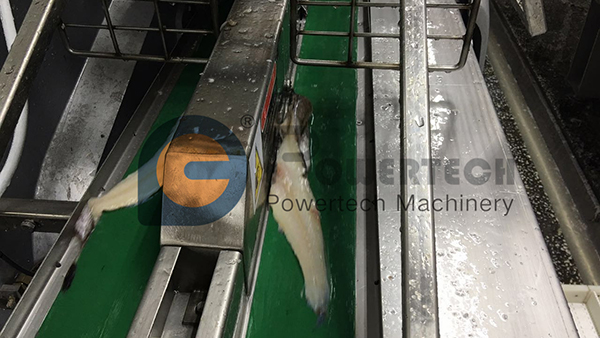 High Capacity Automatic Fish Filleting Machine Fish Filleting Machine ...