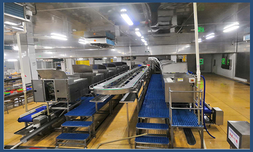 Shrimp Peeling And Deveining Machine - POWERTECH